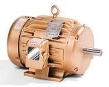 6105-01-361-5406, 6105013615406, 00781568102725, 213TTFS6026, 5N298 ...